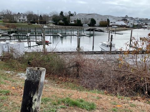 PHOTO GALLERY: A FORGOTTEN WHARF | Cape Cod Commercial Fishermen's Alliance
