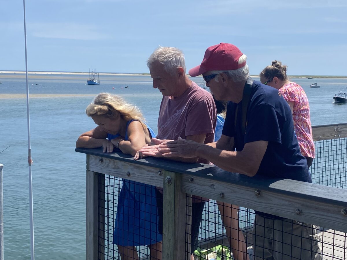 Photo Gallery: Chatham fish pier summer redux | Cape Cod Commercial ...